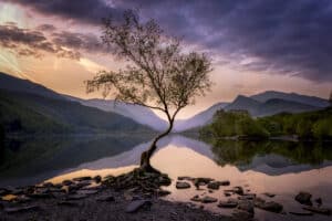 Understanding Landscape and Portrait by W3Mind